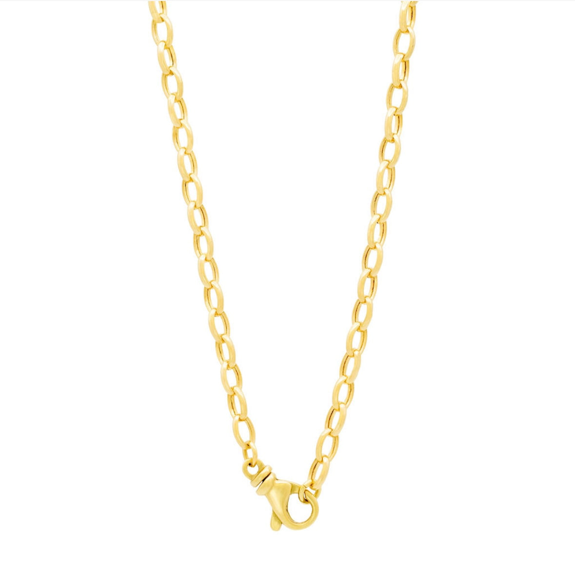 14K Gold Belcher Chain – Kirsten Dexter